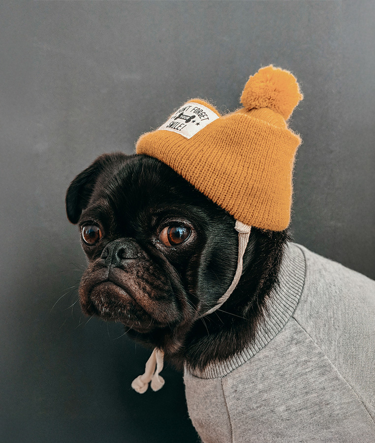 About Us | The Barktique Grooming Boutique